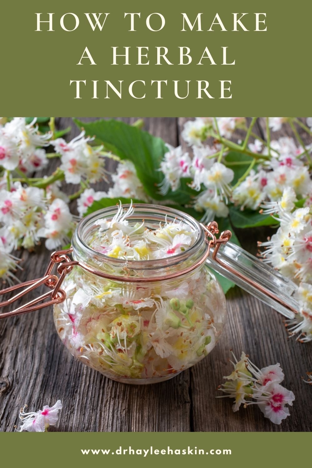 HOW TO MAKE A HERBAL TINCTURE - Dr. Haylee Haskin